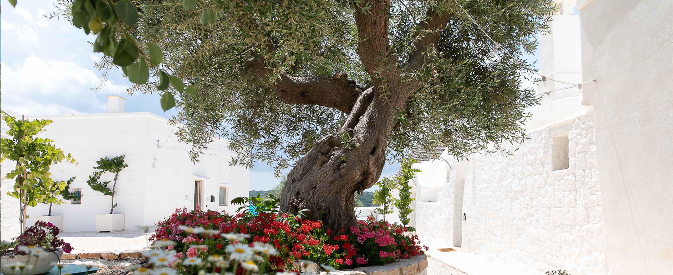 Special Early Booking - Book your stay in Puglia and discover Petranima